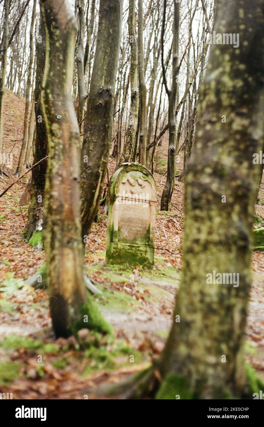 Vertical outdoor analog photo of unconventional Jewish cemetery among ...