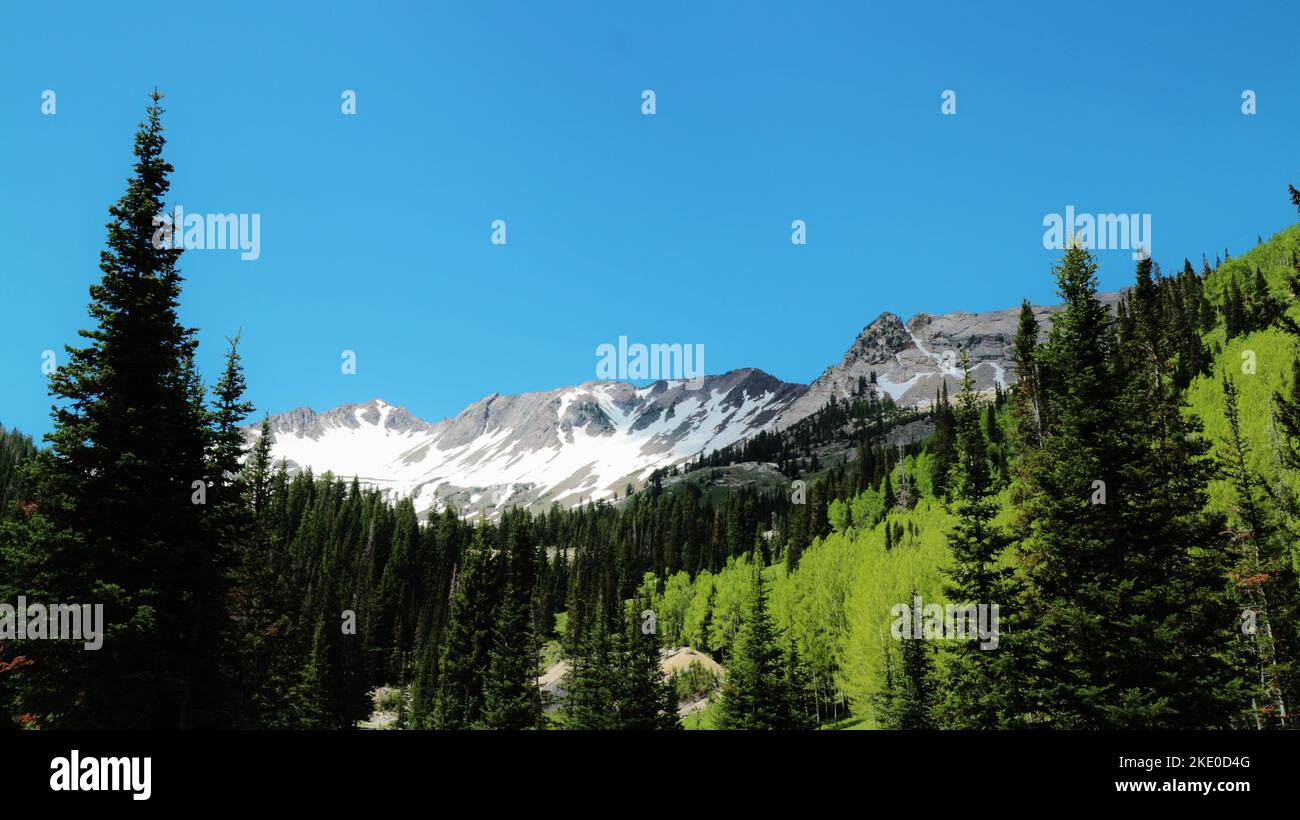 Mount Superior Ridgeline Found Deep On the Cardiff Fork Trail Stock ...