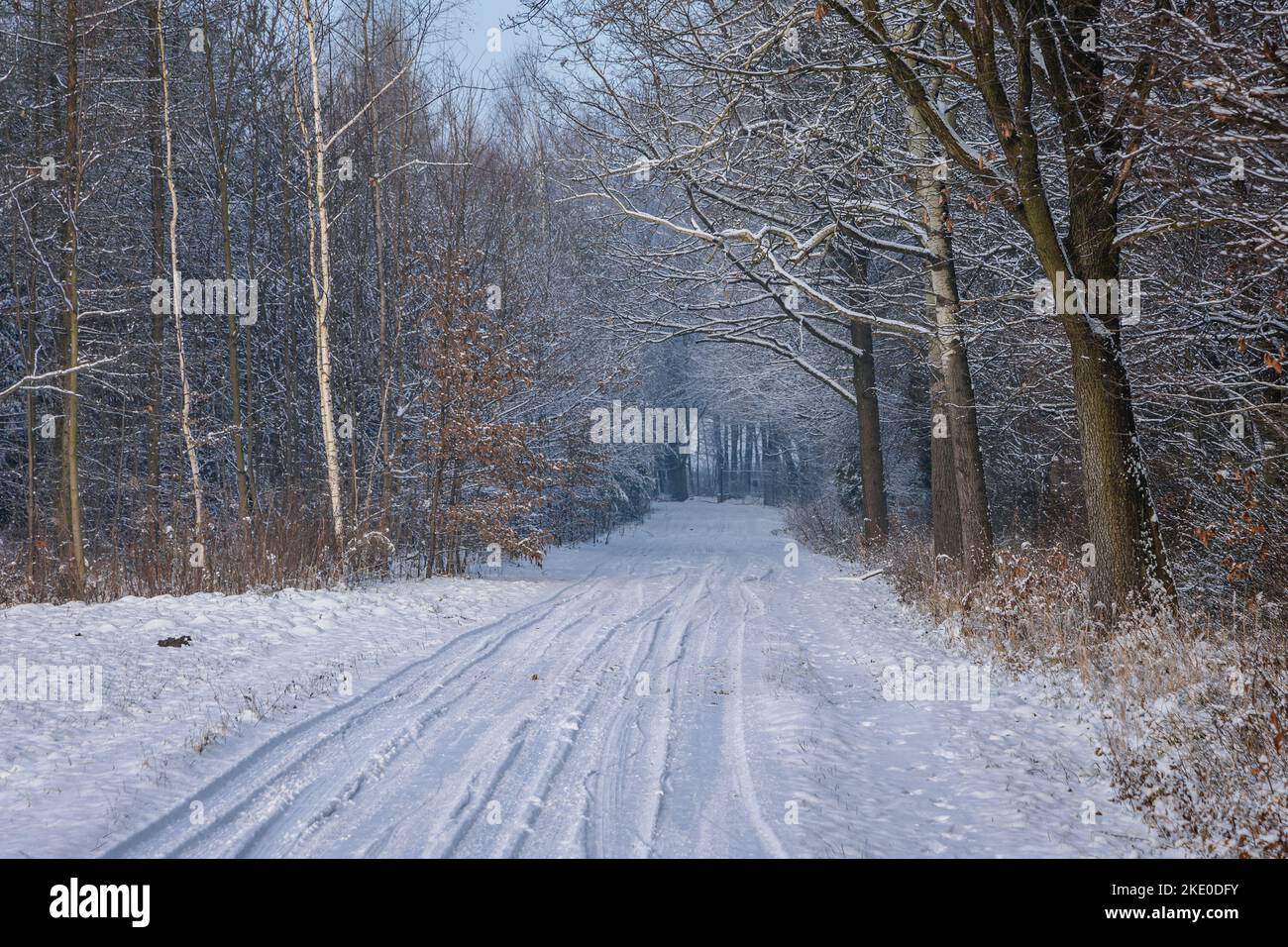 Road cevered with snow in Rogow village in Lodzkie Voivodeship of ...