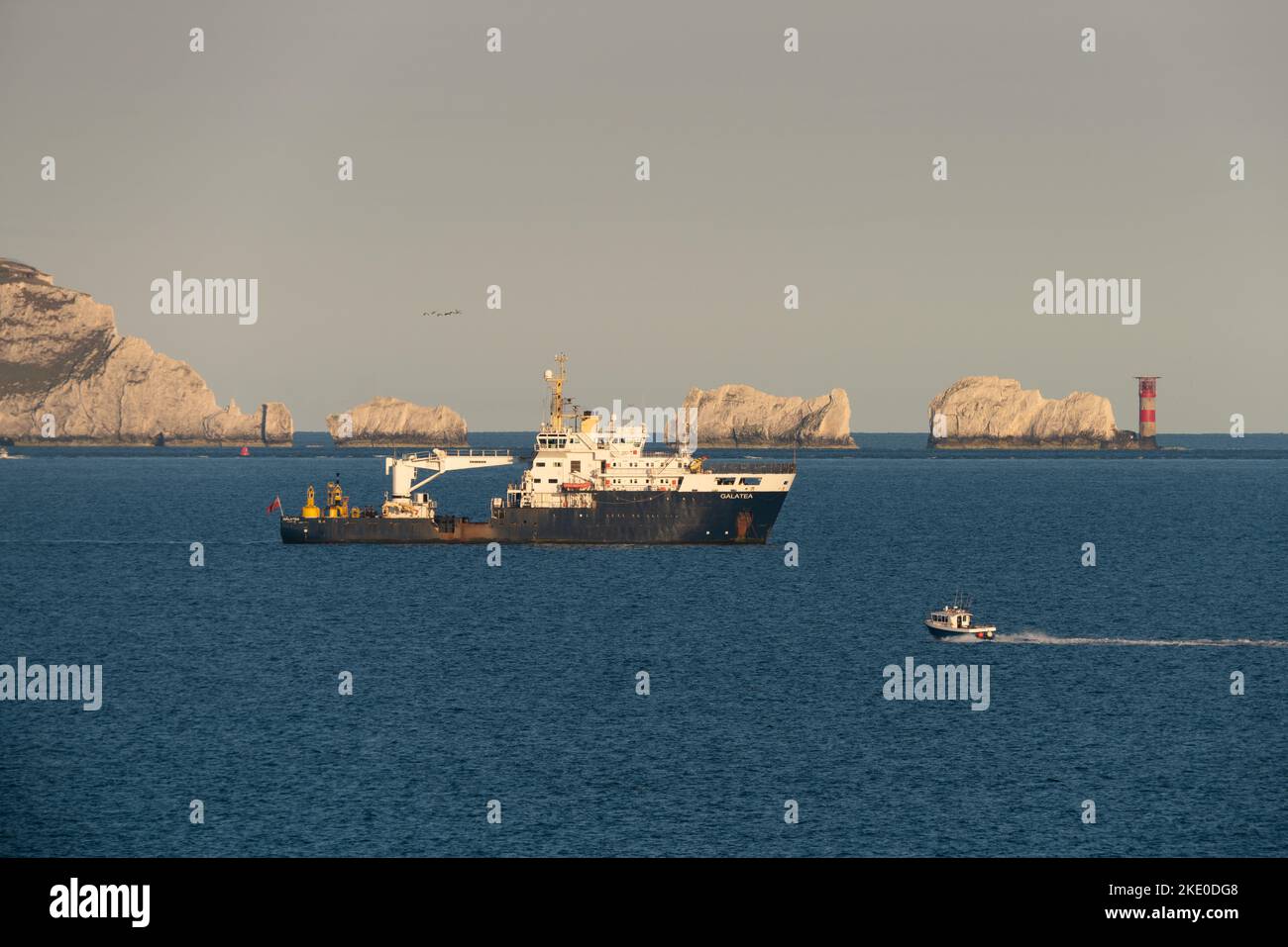 Thv galatea hi-res stock photography and images - Alamy