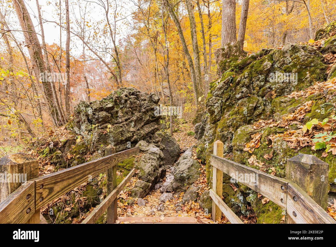 Overcast view of the fall color of Ha Ha Tonka State Park at Missouri ...