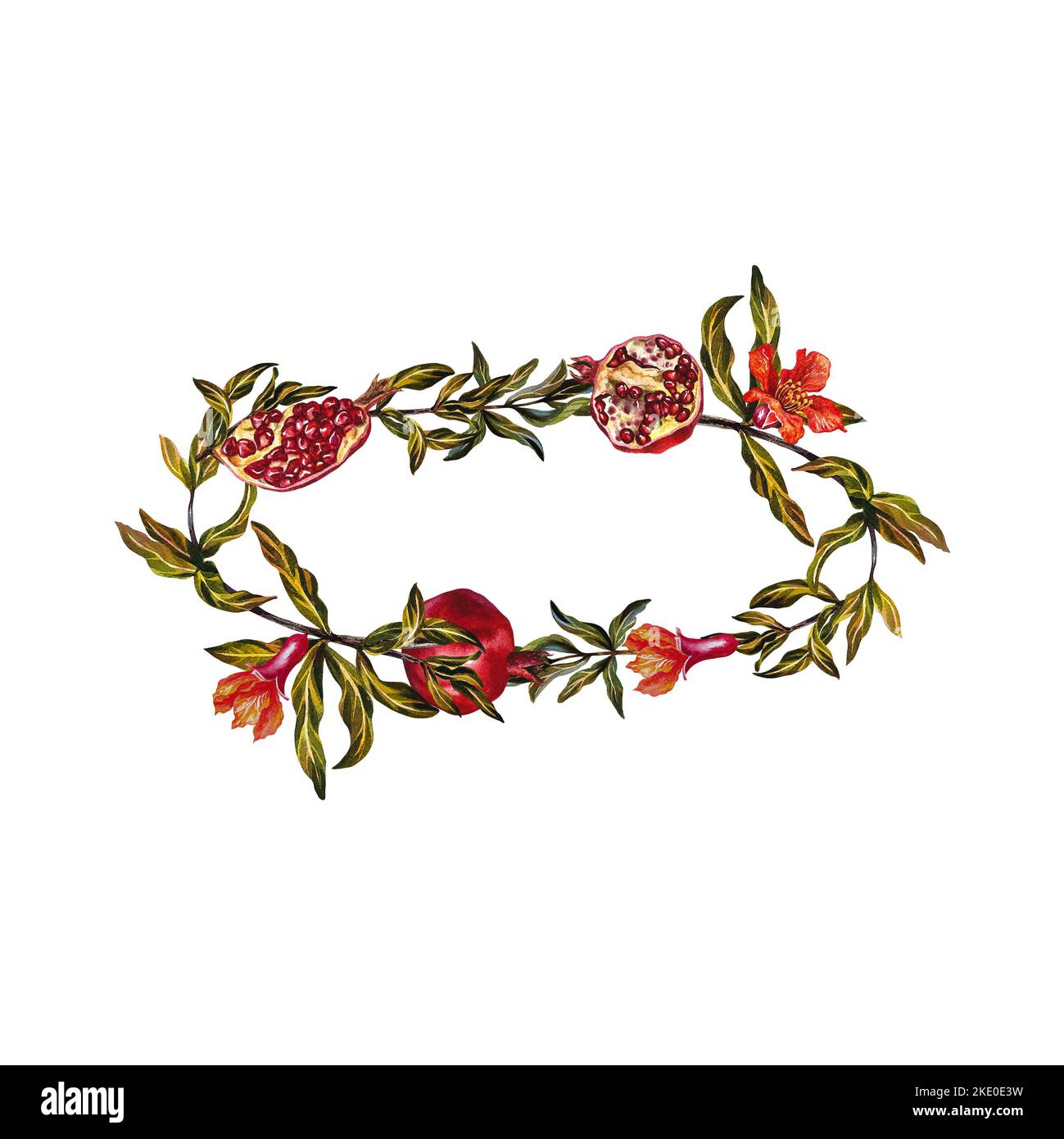 Pomegranate. Oval frame made of pomegranate fruit on a branch, burst ...