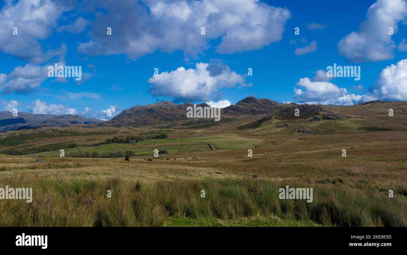 Barren Landscape in the Southern Fells Cumbria England Stock Photo - Alamy