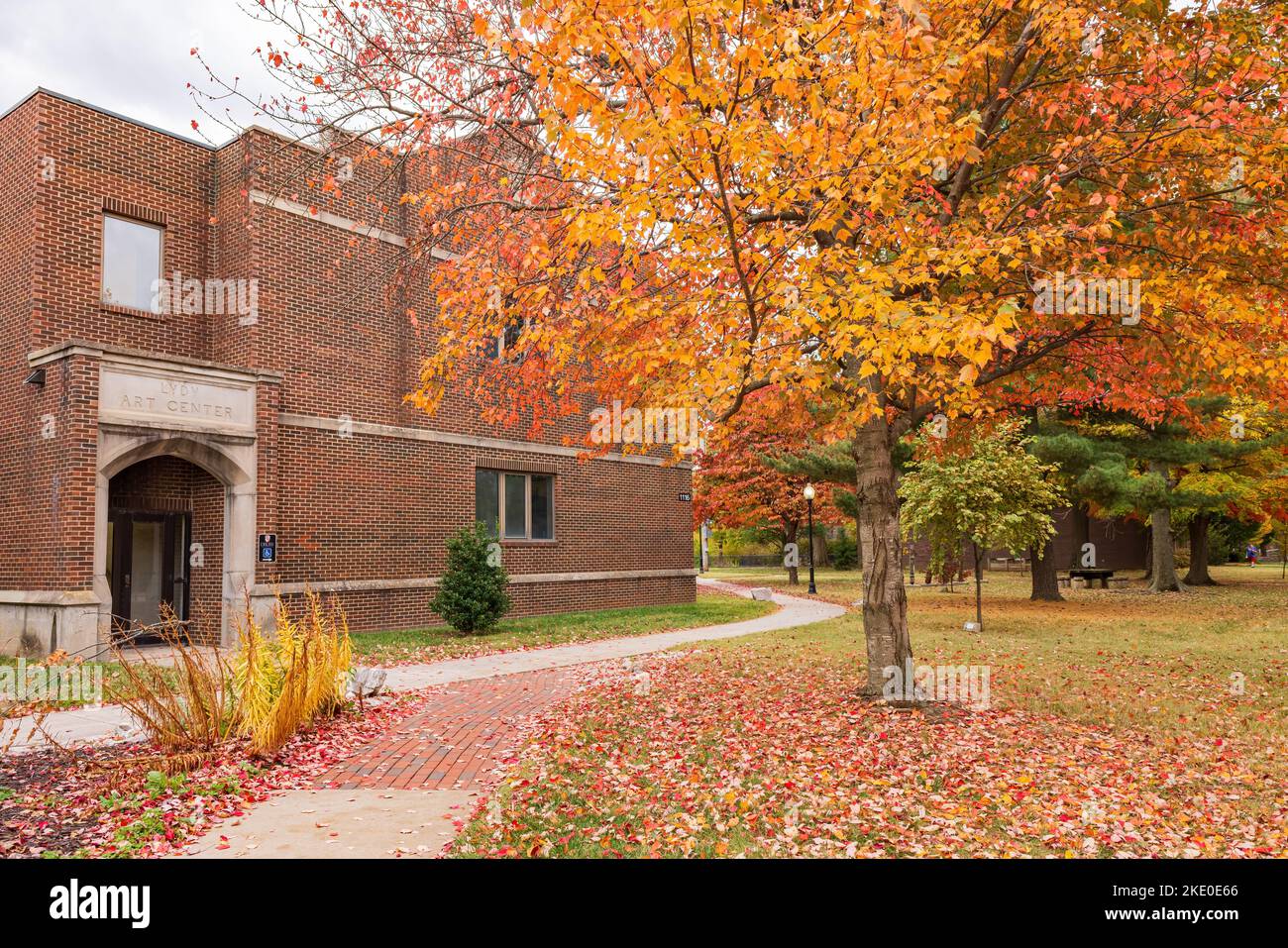Lydy hall hi-res stock photography and images - Alamy