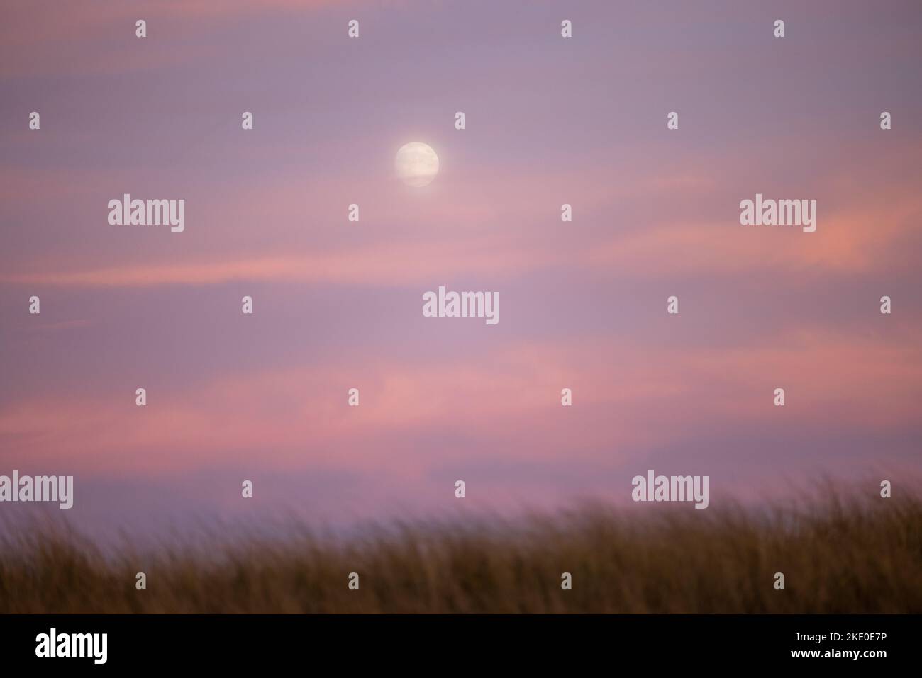 Brilliant full moon hi-res stock photography and images - Alamy