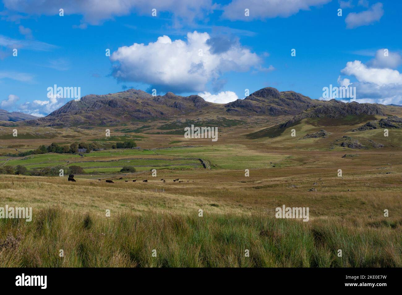 Barren Landscape in the Southern Fells Cumbria England Stock Photo - Alamy