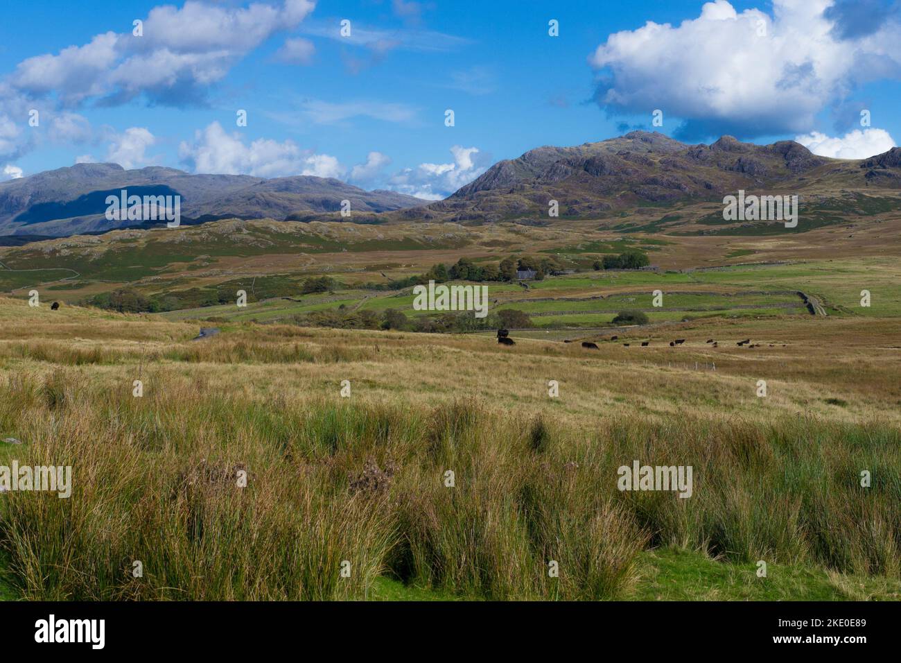 Barren Landscape in the Southern Fells Cumbria England Stock Photo - Alamy