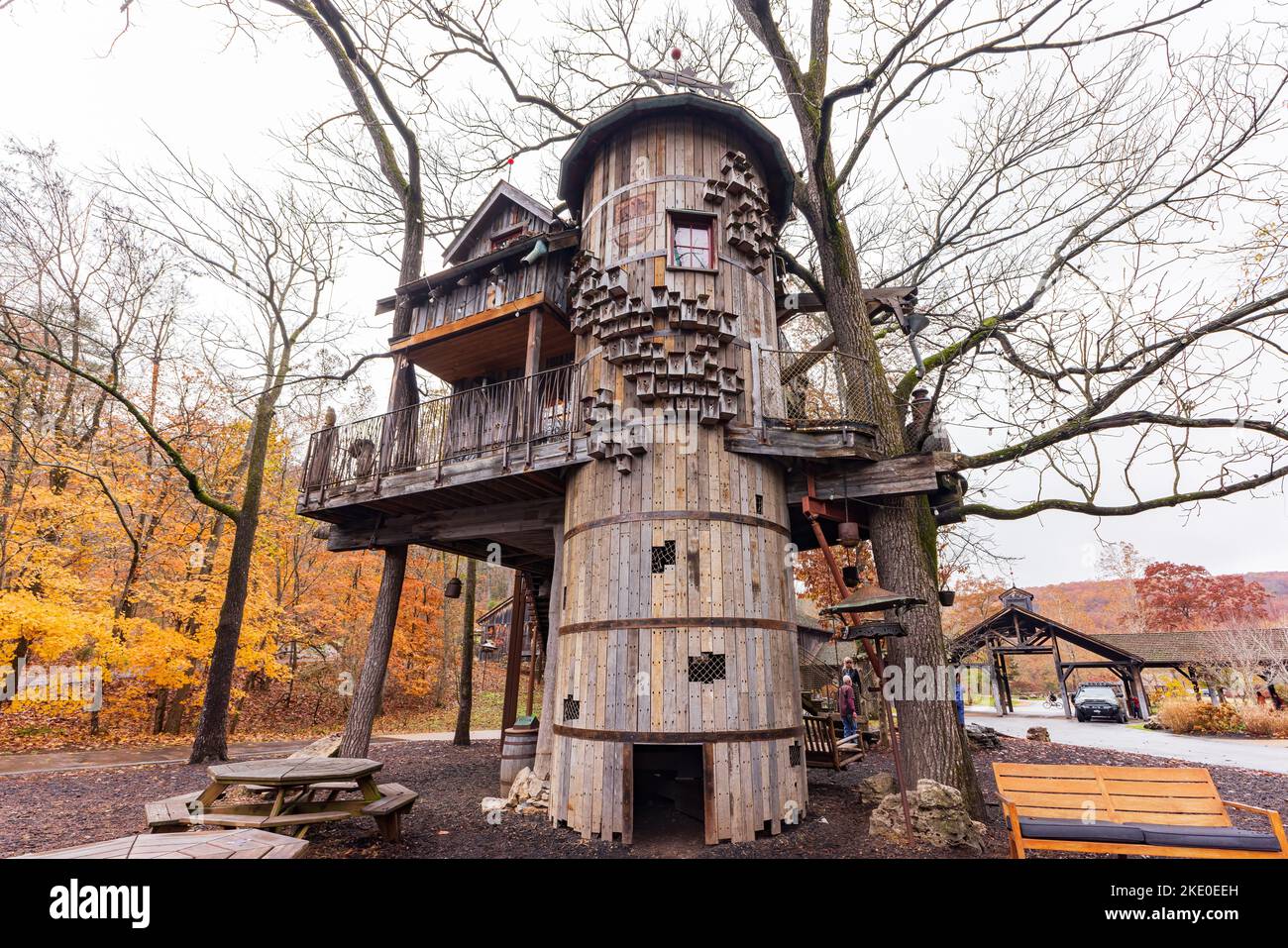 Overcast view of the tree house in Dogwood Canyon Nature Park at ...