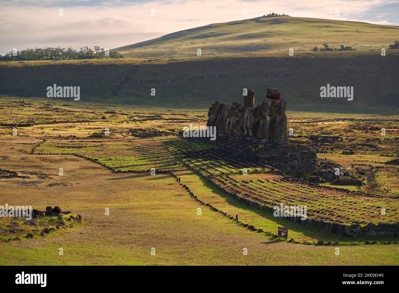 The ancient Polynesian statues on the Ahu Tongariki beach, Easter ...