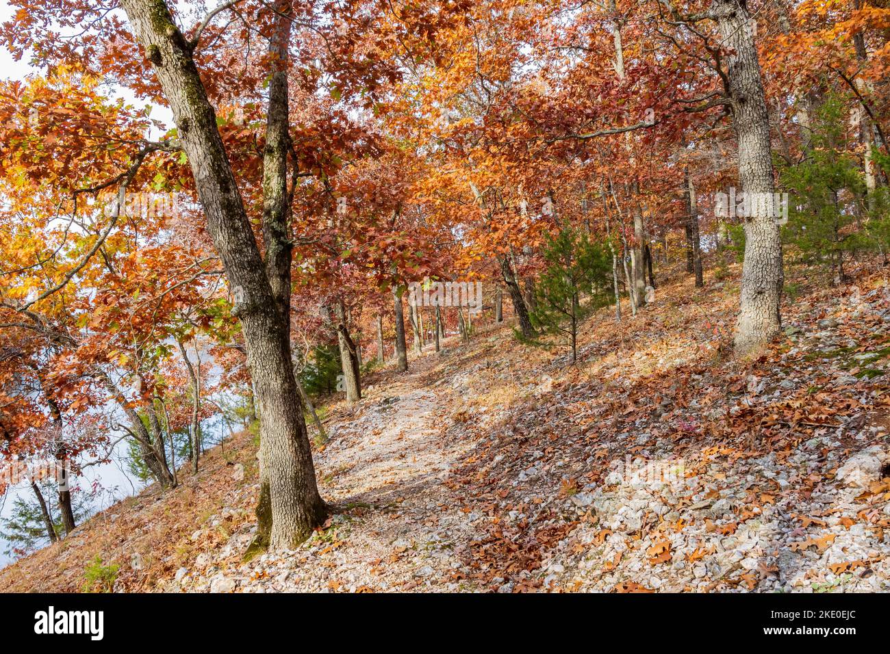 Overcast view of the fall color of a hiking trail in Lake of the Ozarks ...