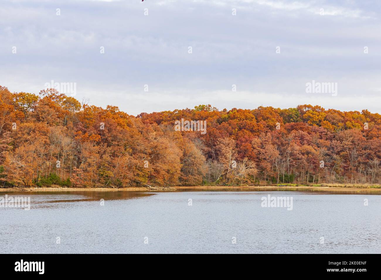 Overcast view of the fall color of a hiking trail in Lake of the Ozarks ...