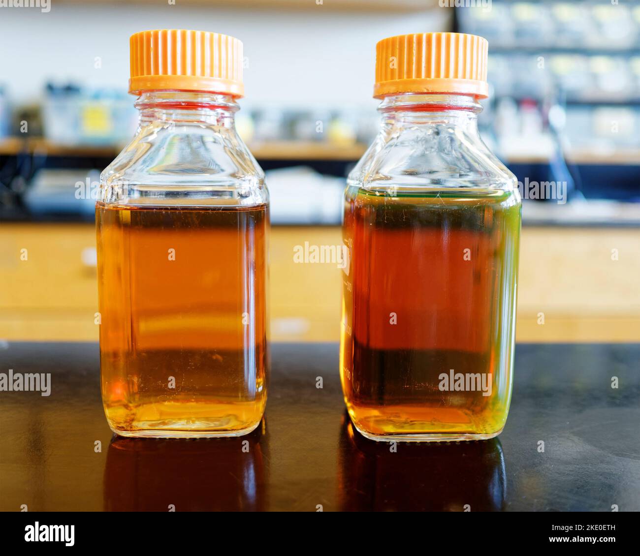 Solid medium bacteria hi-res stock photography and images - Alamy