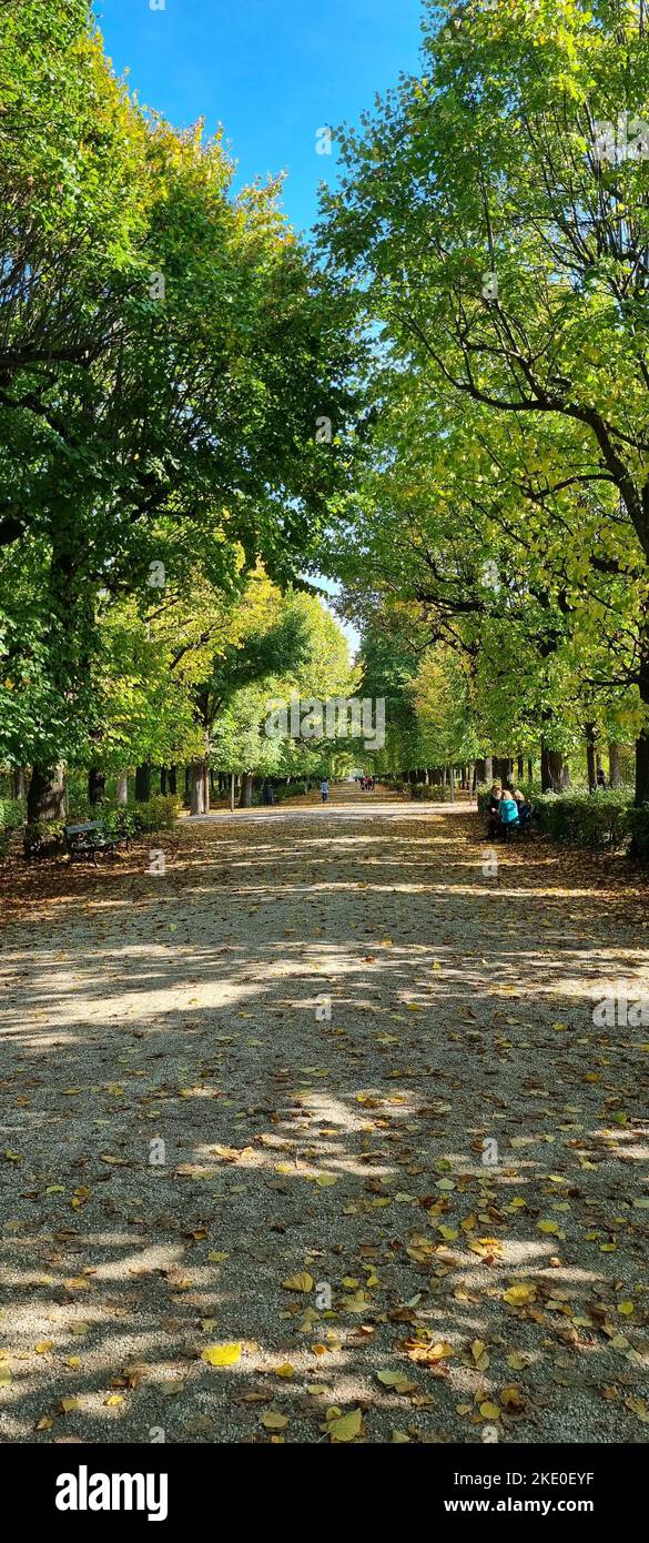 A vertical shot of a park walkway surrounded with trees in autumn with ...