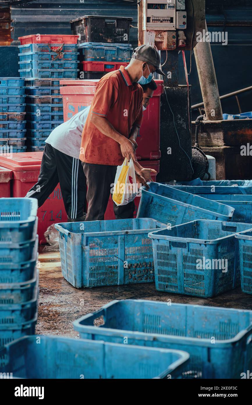 Sekinchan, Malaysia - Oct 6, 2022 Fishermen sorting out the fish catch ...