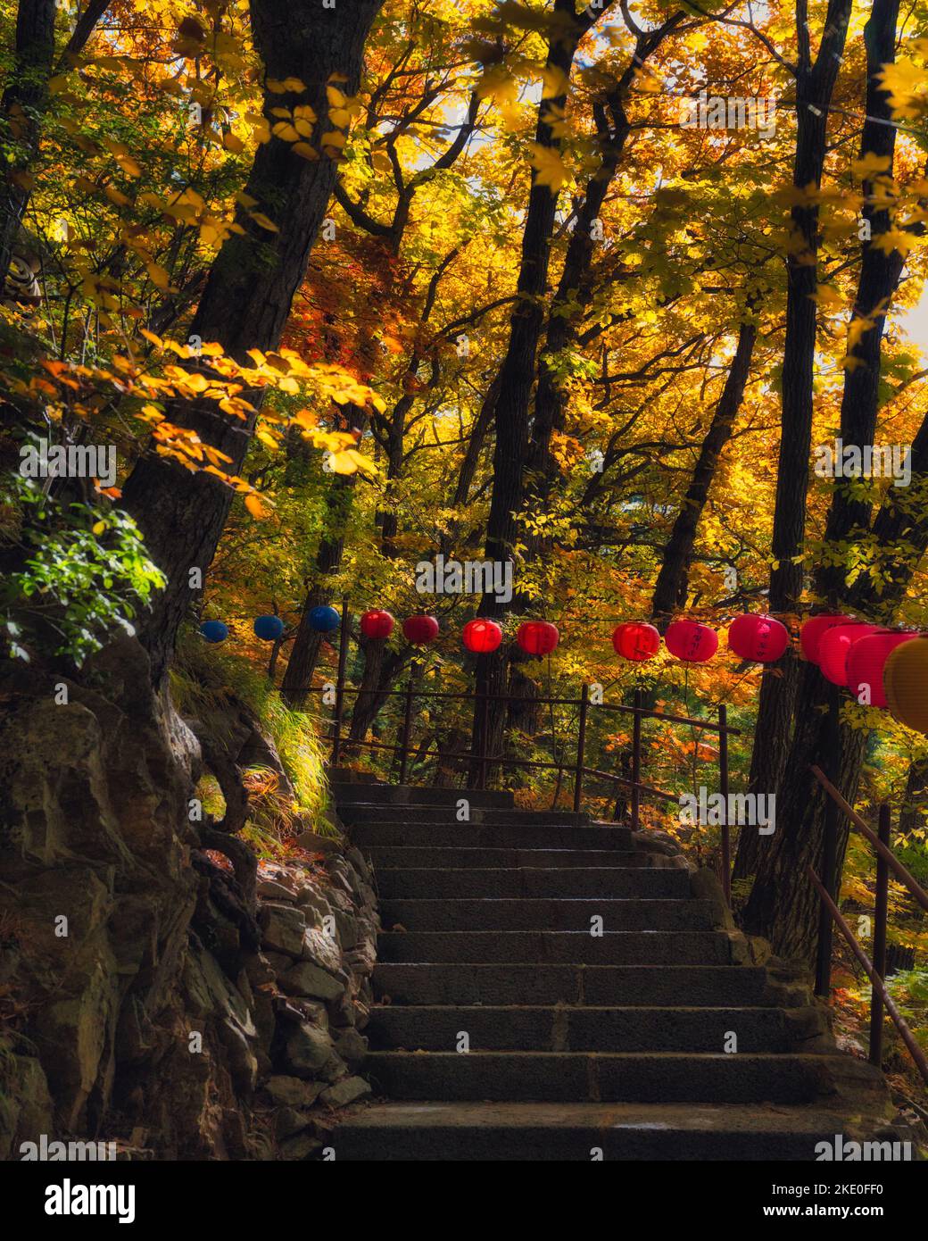 A vertical shot of stairs in autumn at Odaesan National Park, Gangwon ...