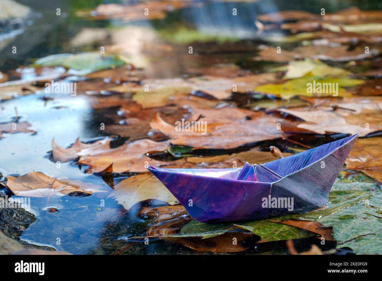 Origami paper ship floating in autumn leaves in water Stock Photo - Alamy