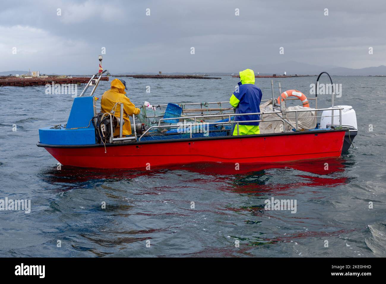 An inshore sailor fishing spider crab in the Arousa estuary, Pontevedra ...