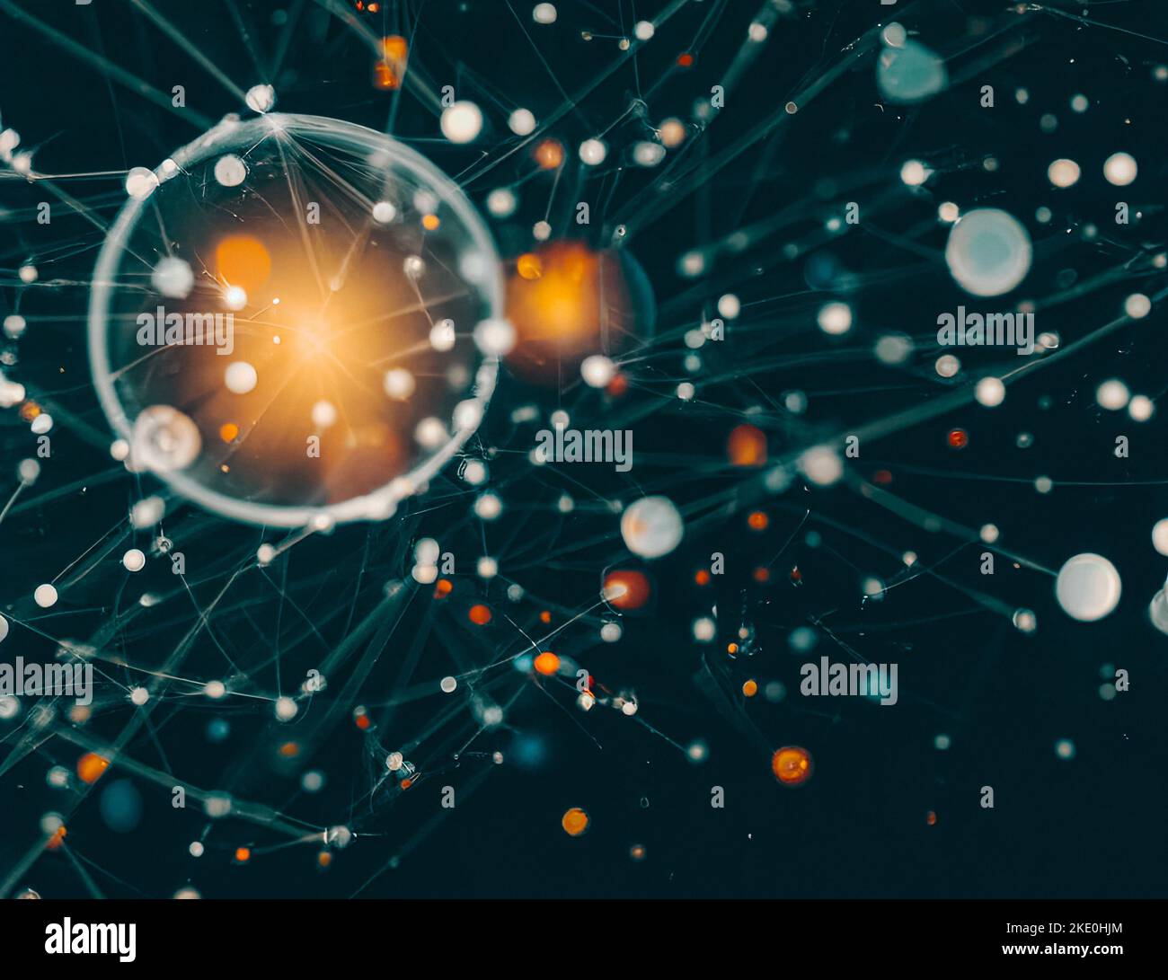Neural colors hi-res stock photography and images - Alamy