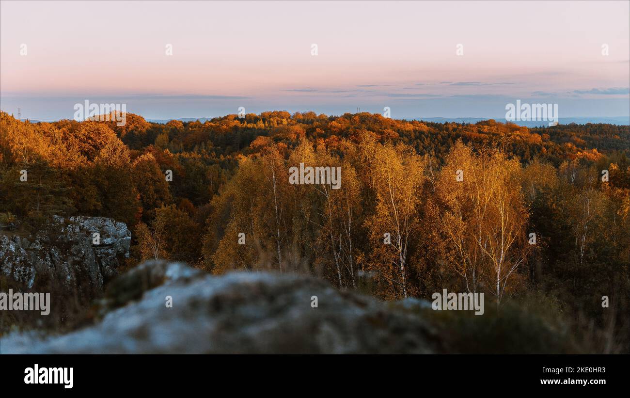 A landscape view of the forest in the autumn. Silesia, Kromolowiec Hill ...
