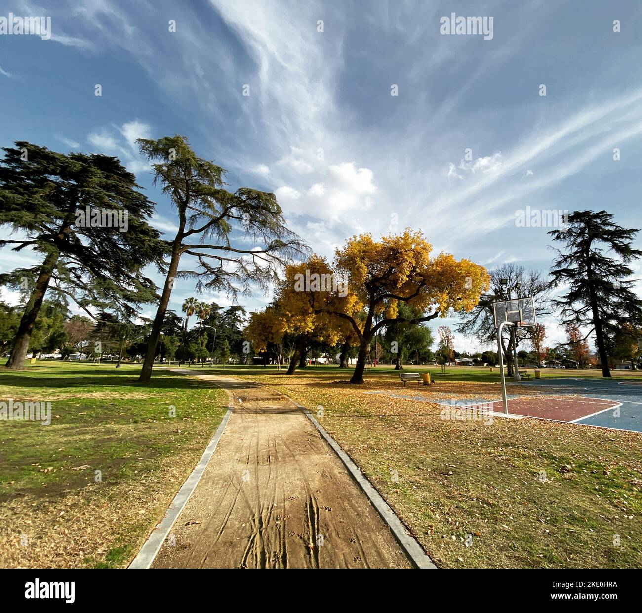 A beautiful view of autumn trees and playground in a park on a sunny ...