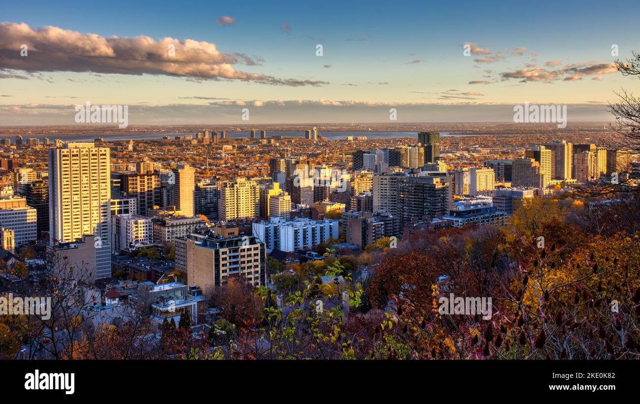 A stunning view of Montreal City from the top of Mount Royal Stock ...