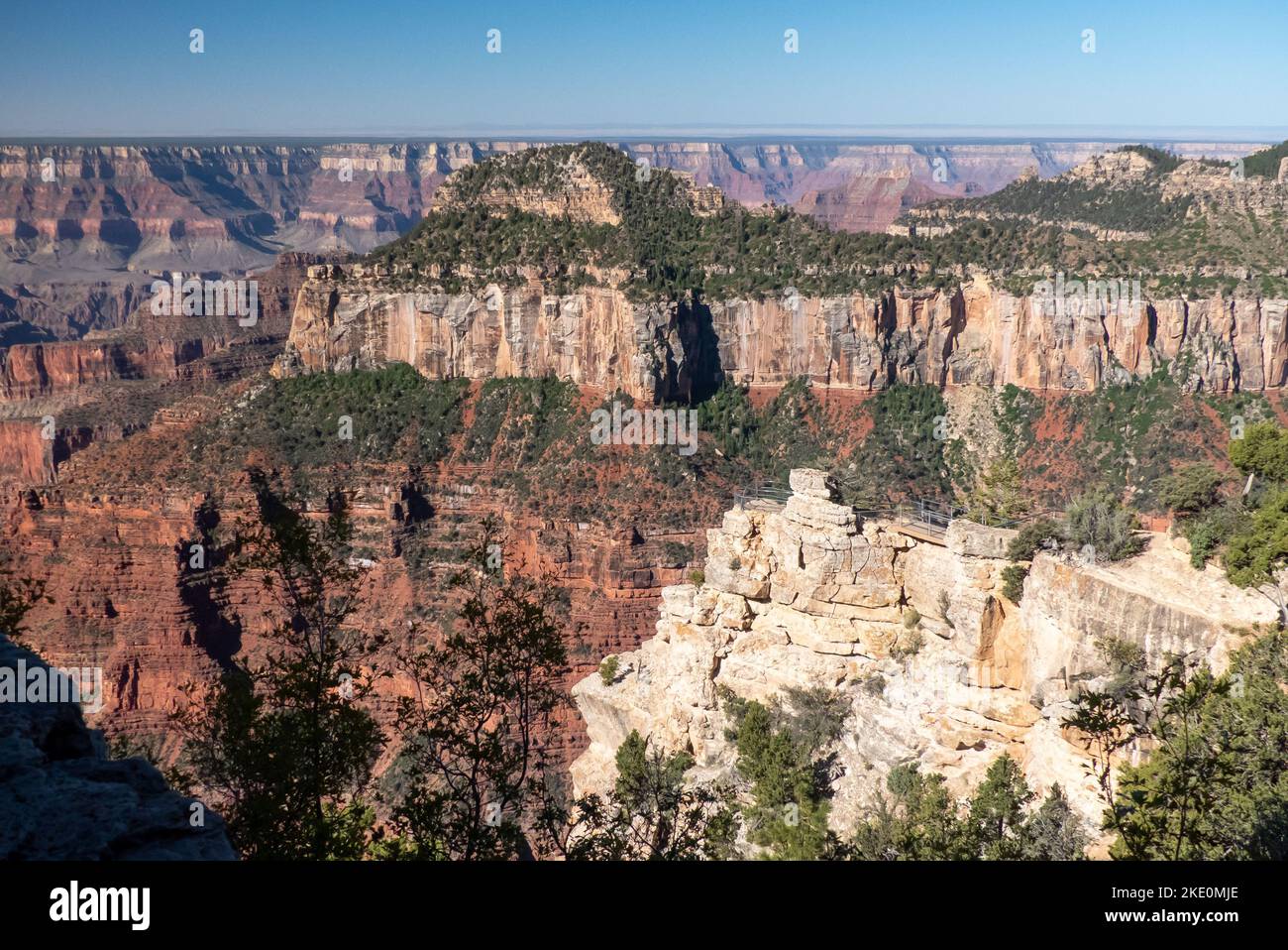 Arizona, USA: the Grand Canyon taken from the North Rim Stock Photo - Alamy