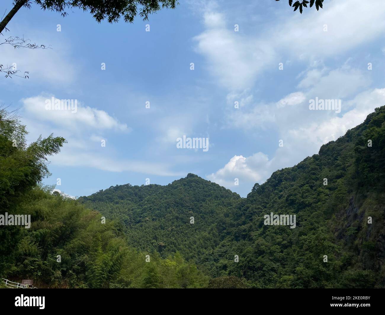 Guangzhou forest hi-res stock photography and images - Alamy