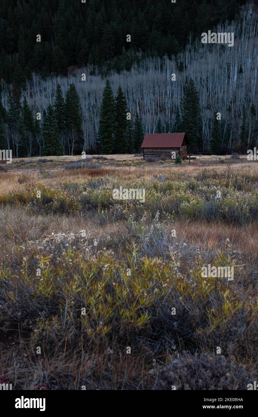 A scenic vertical shot of a wooden barn on a forest background Stock ...