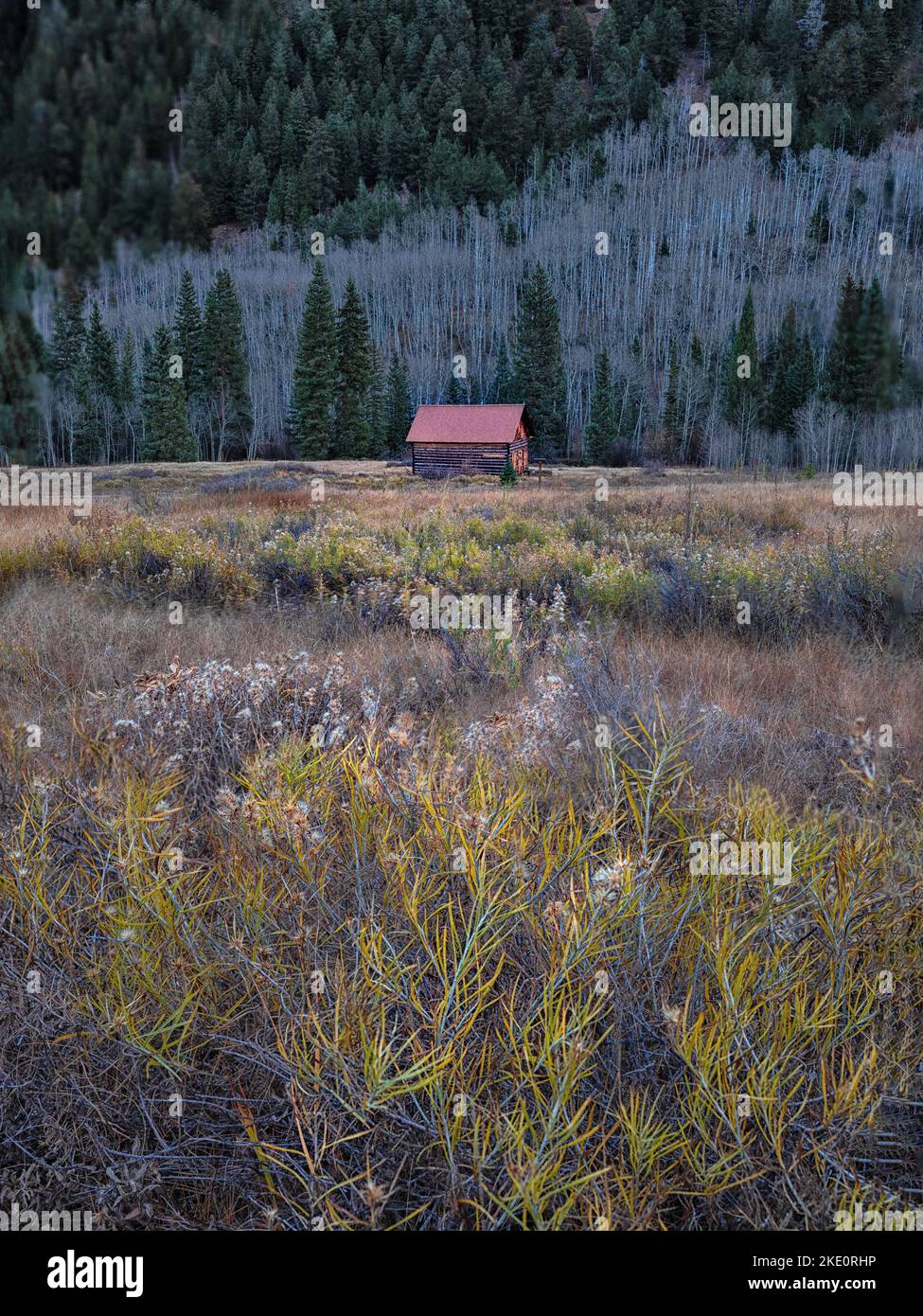 A vertical shot of a wooden barn with a red roof on a forest background ...
