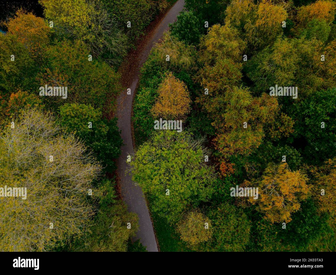 An aerial view of an autumnal forest and a walkway Stock Photo - Alamy