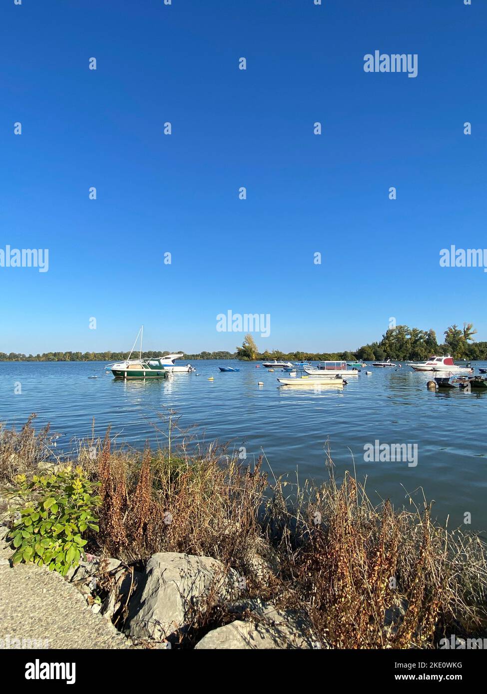 A vertical shot of a blue sea with ships inside and grasses around ...