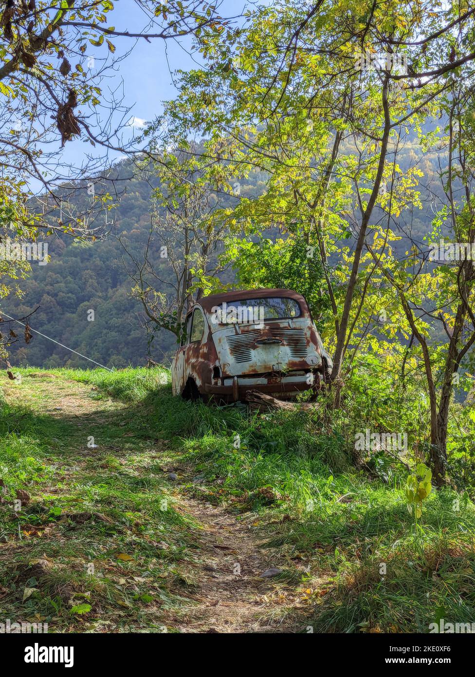 The vertical view of an abandoned rusty car in the greenery Stock Photo - Alamy