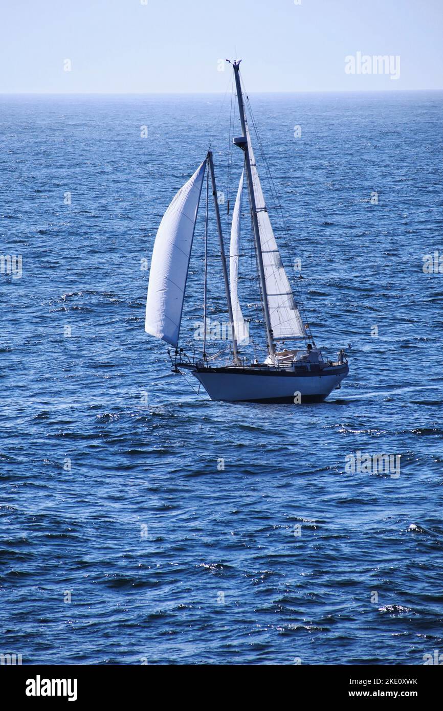 A vertical shot of a white boat sailing along the Galician coasts of ...