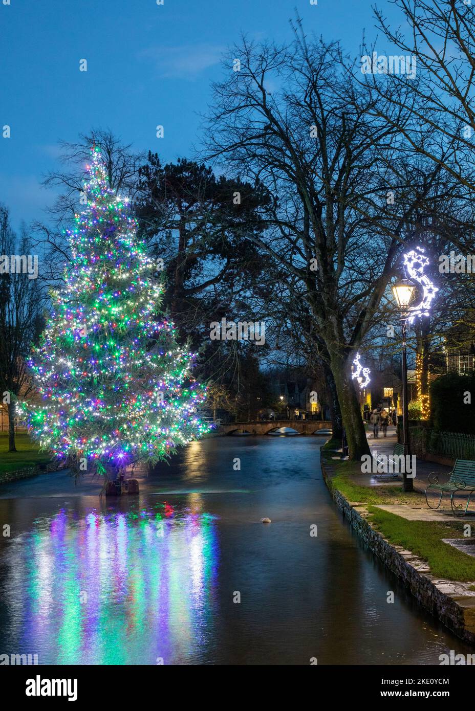 A Christmas tree with lights surrounded by leafless trees at Bourton-on ...