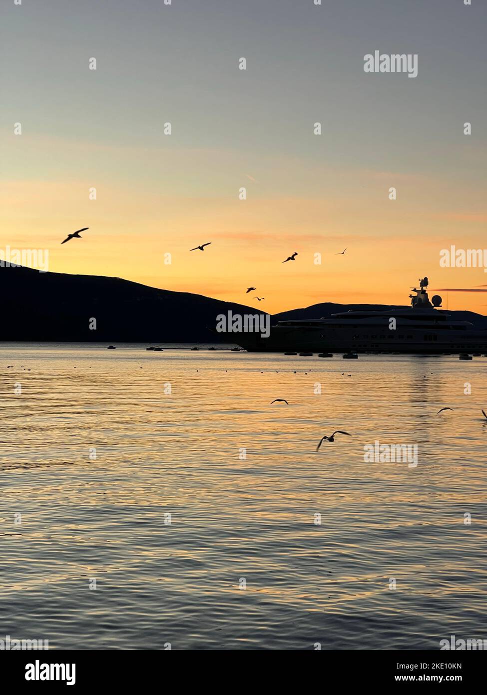 A dramatic scenery of vibrant sunset with seagulls flying in the sky in ...