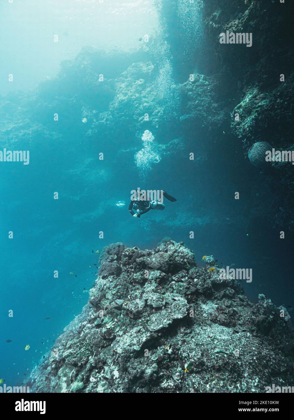 A vertical shot of a scuba diver searching for something in the water ...