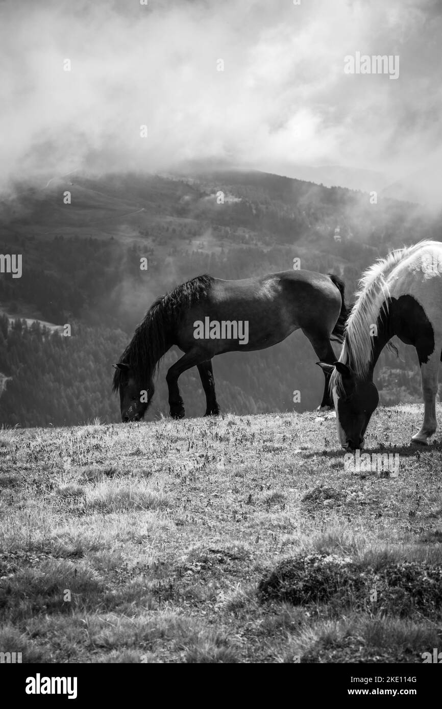 Two vertical edges Black and White Stock Photos & Images - Alamy