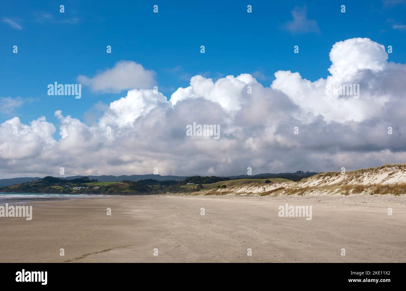 A sandy beach against blue sea in Waipu Cove, the Northland region, New ...