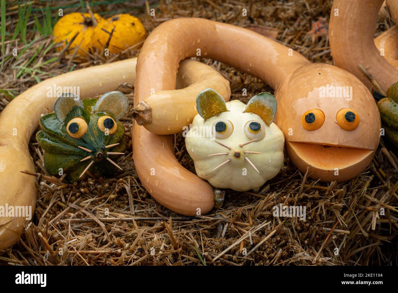A beautiful shot of mice and snake made with vegetables in the garden ...