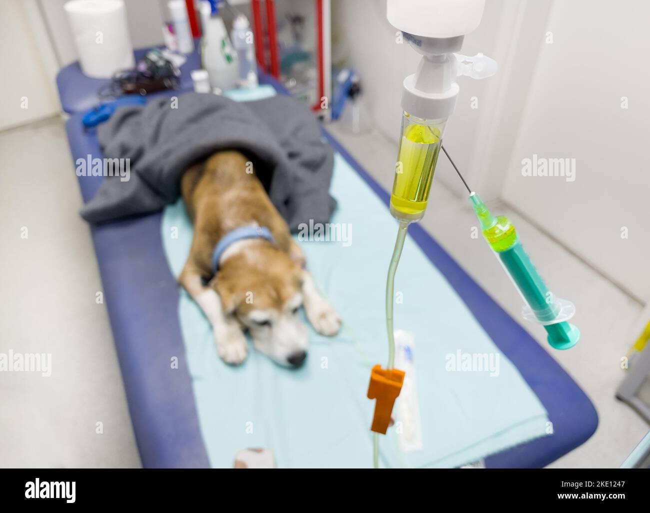 Intravenous anesthesia hi-res stock photography and images - Alamy