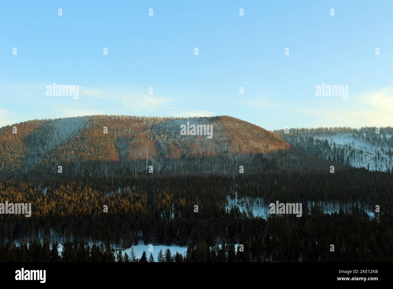 A beautiful view of a hill covered in trees with a blue sky background ...