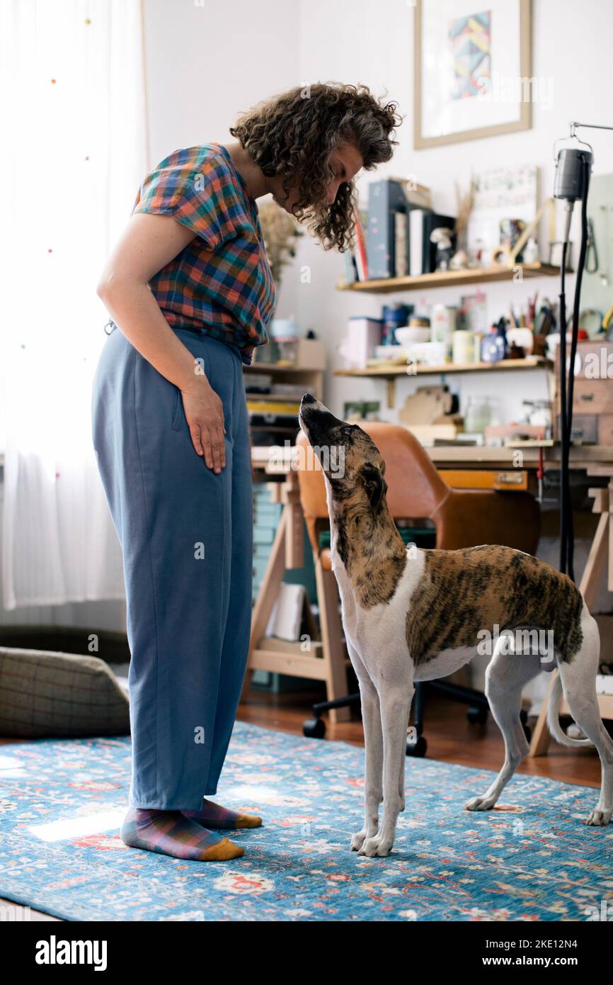 Side view of woman giving obedience training to dog at home Stock Photo ...