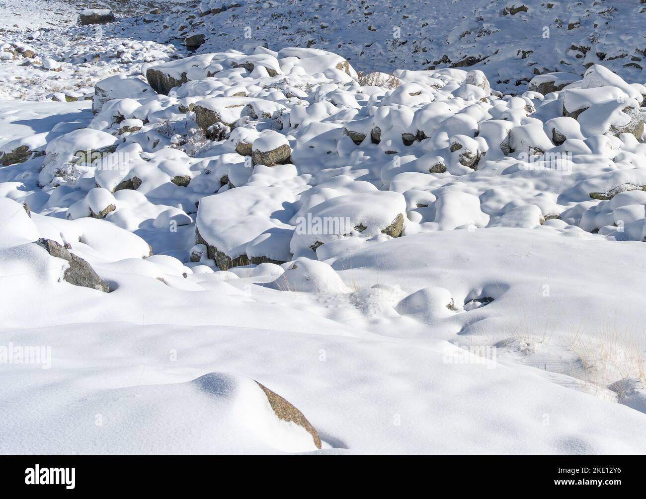 Group mountain goats hi-res stock photography and images - Alamy