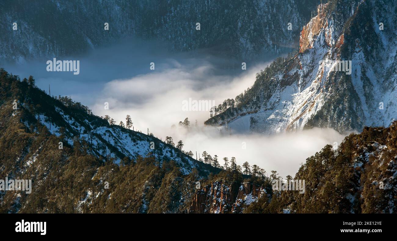 A beautiful shot of mountain snowy peaks covered with forests above the ...