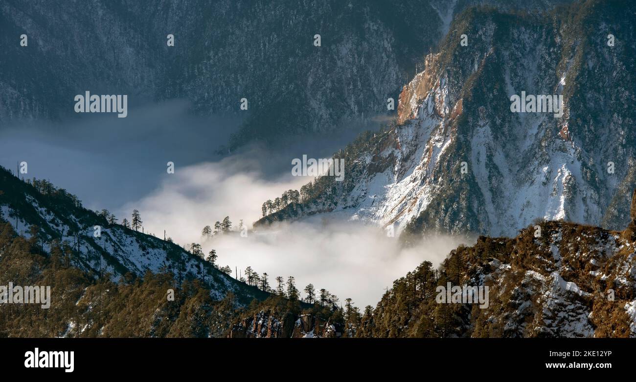 A beautiful shot of mountain snowy peaks covered with forests above the ...