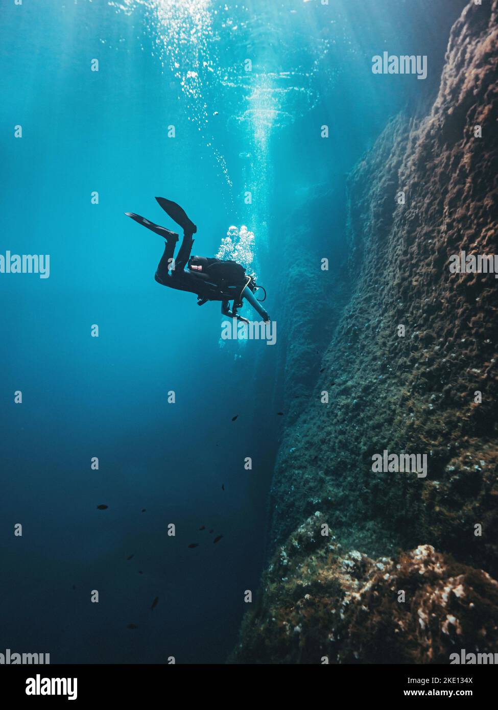 A vertical shot of a scuba diver exploring underwater reefs near the ...