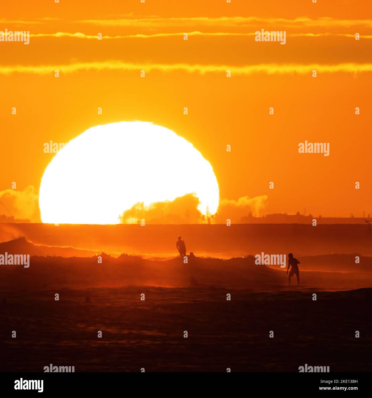 The silhouettes of surfers with the big golden sunset shining in the ...