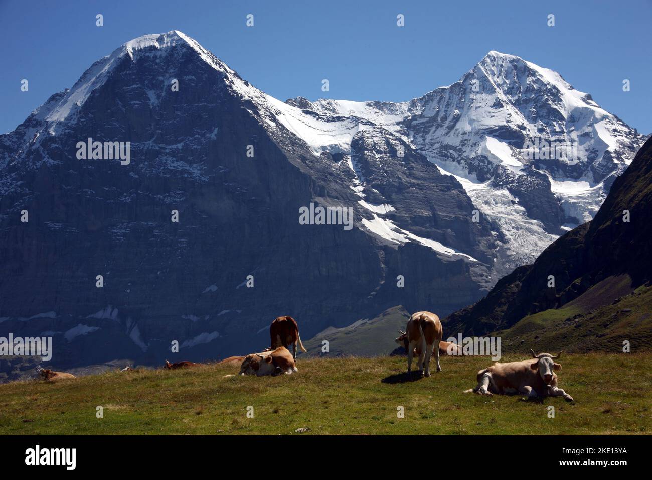 A beautiful landscape of the mountains in the Bernese Highlands Stock ...