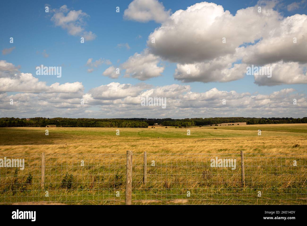 A wide grassy meadow with a cloudy blue sky Stock Photo - Alamy