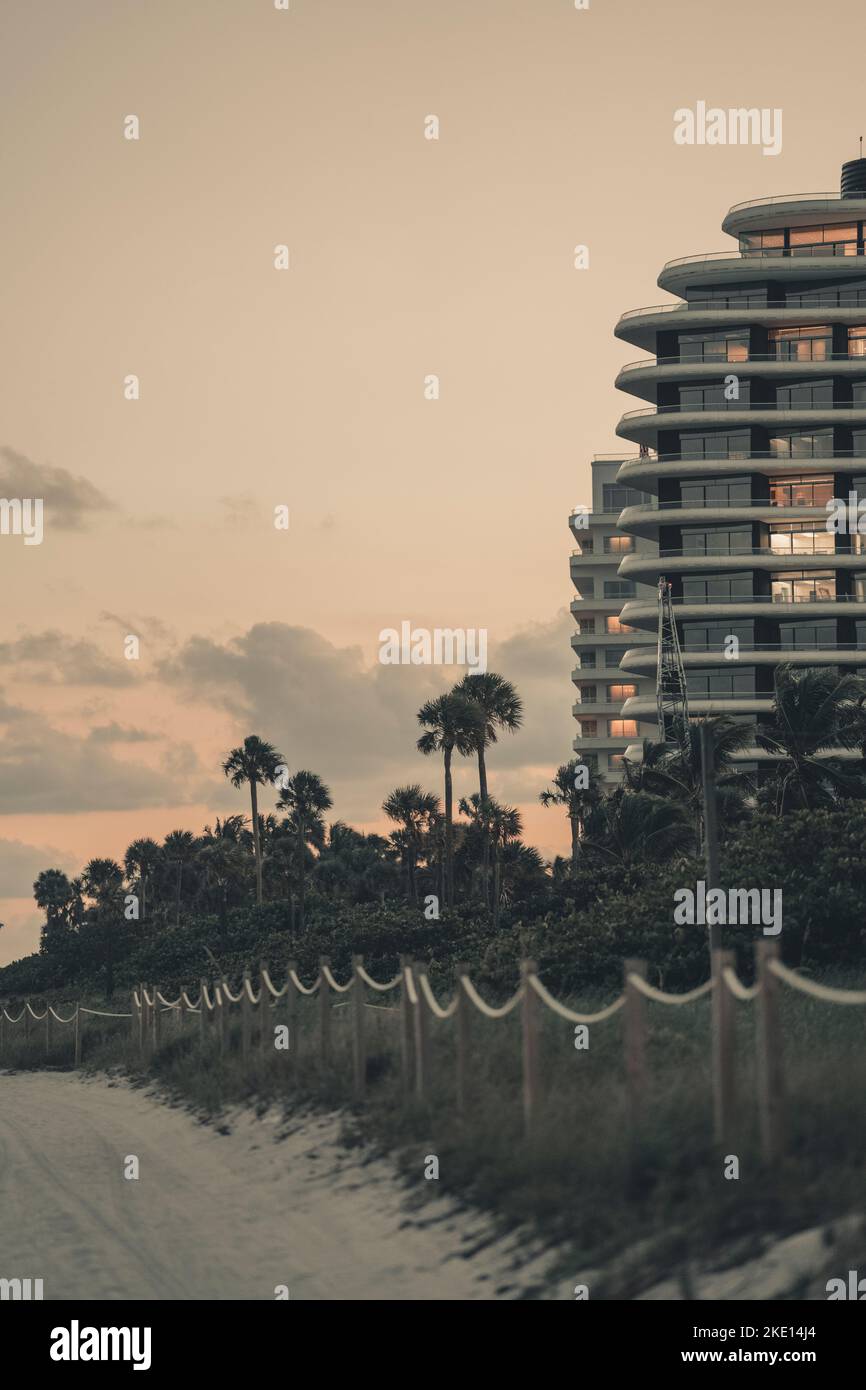 Miami Beach Florida sunset building palms trees Stock Photo - Alamy